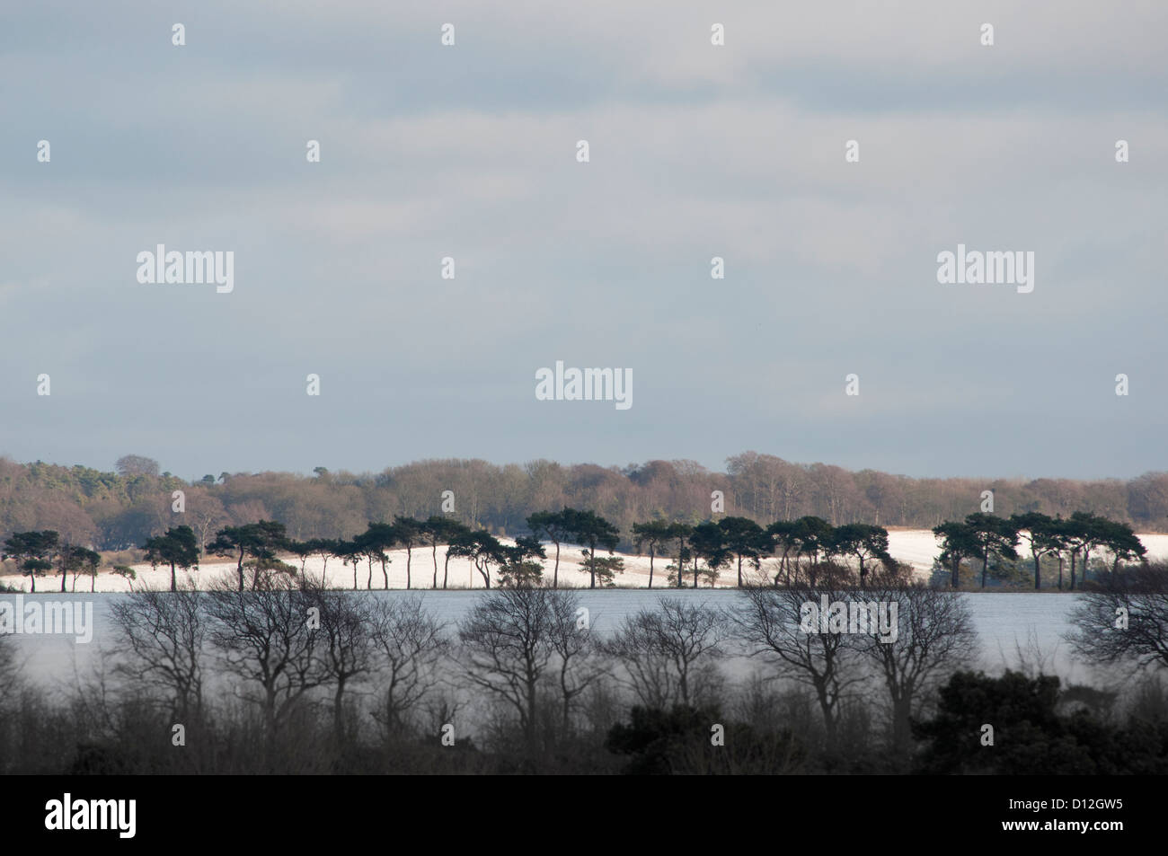 Light dusting of snow hi-res stock photography and images - Alamy