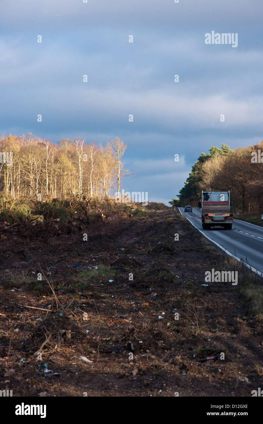 Cleared trees for road widening of A11 truck road Stock Photo - Alamy
