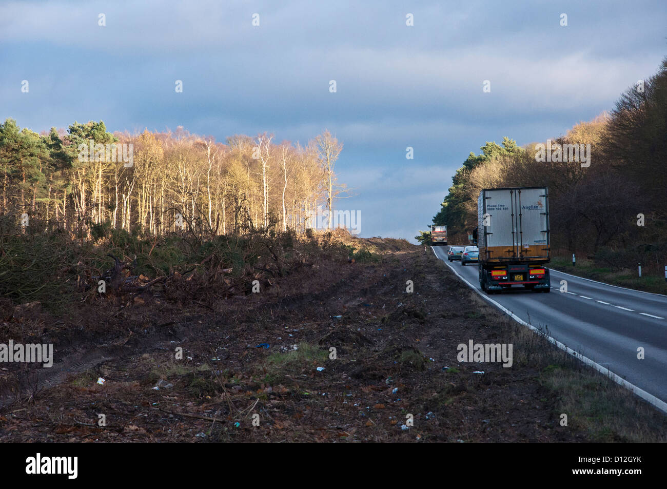 Cleared trees for road widening of A11 truck road Stock Photo - Alamy