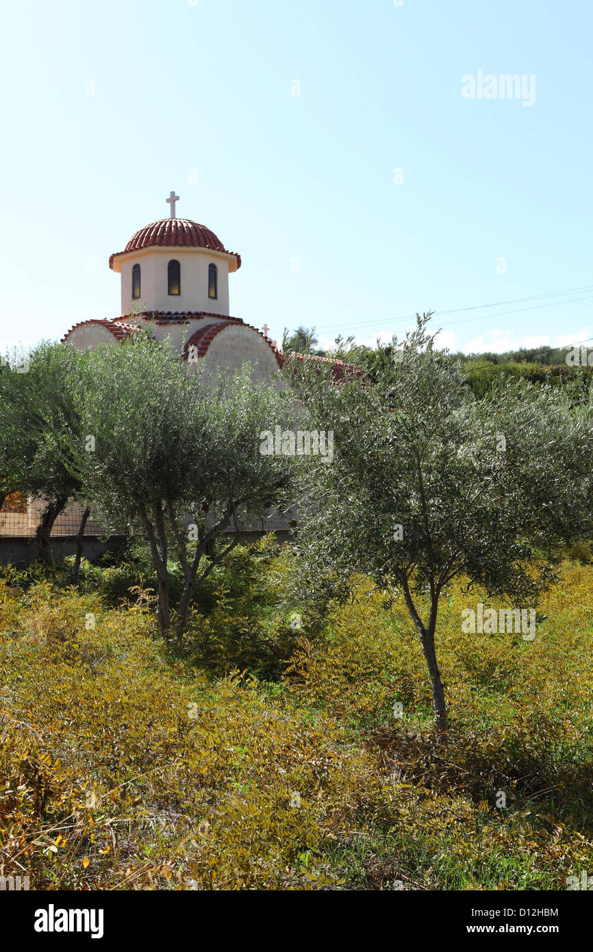 Olive trees grow by a Greek Orthodox church at Stavromenos, close to ...