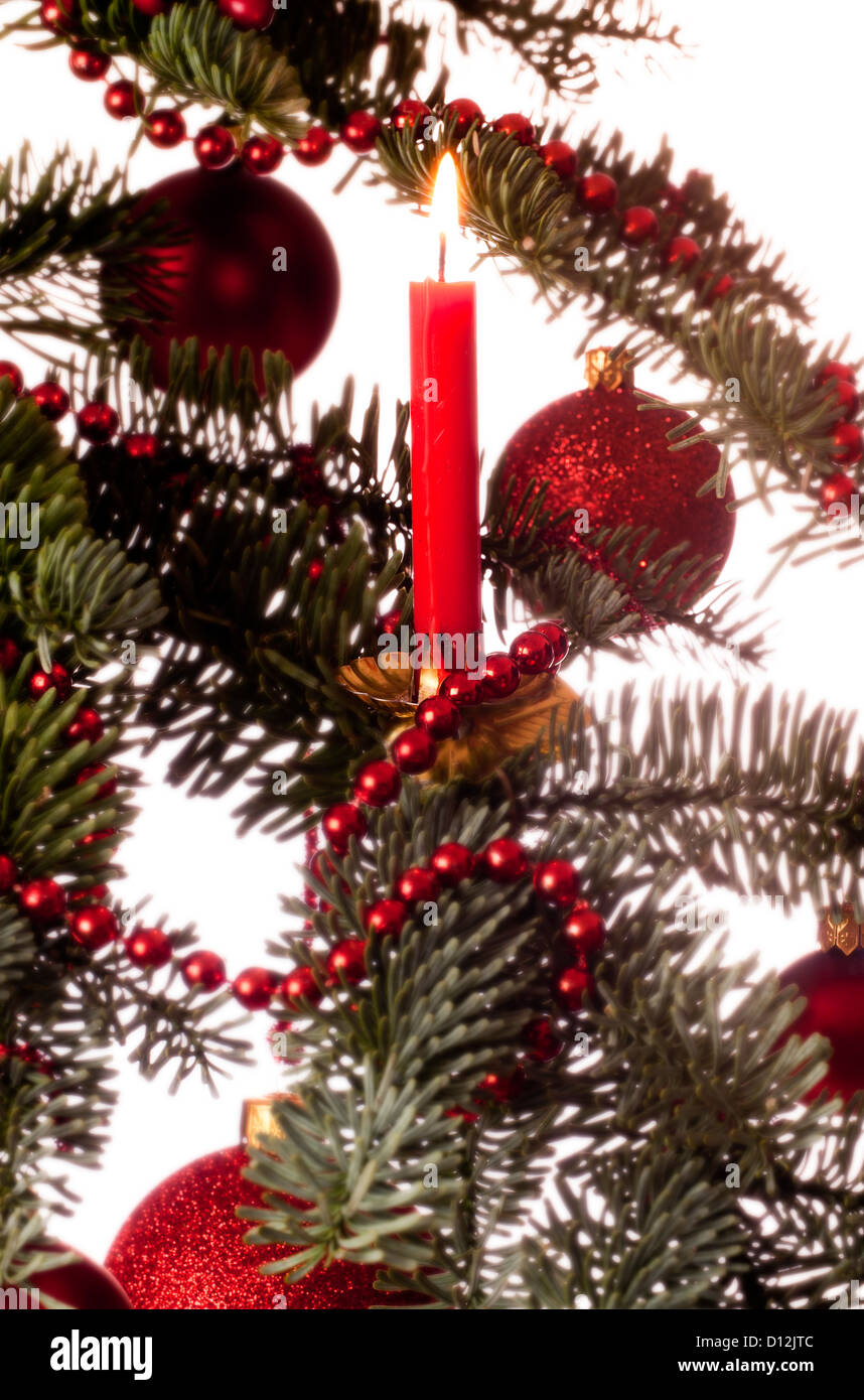 Close up of Christmas tree Stock Photo - Alamy