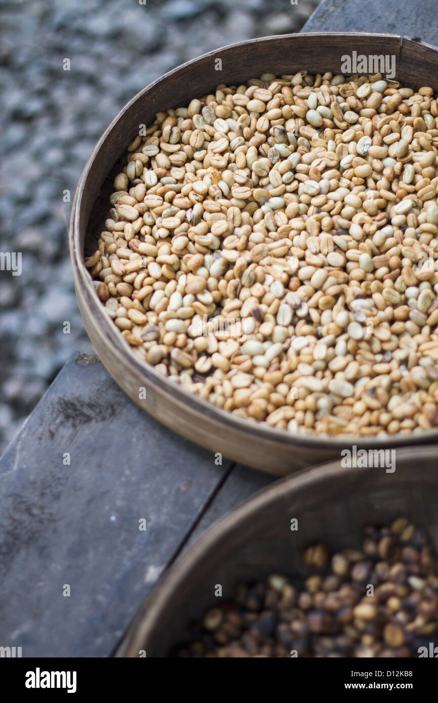 Indonesia, Bali, Roasted coffee beans in basket Stock Photo - Alamy