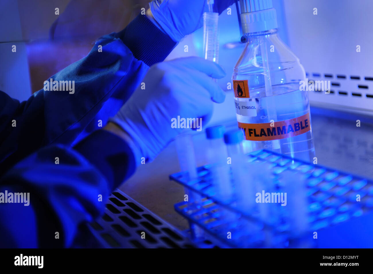 decanting 70% ethanol into test tubes at a fume cupboard in a science ...