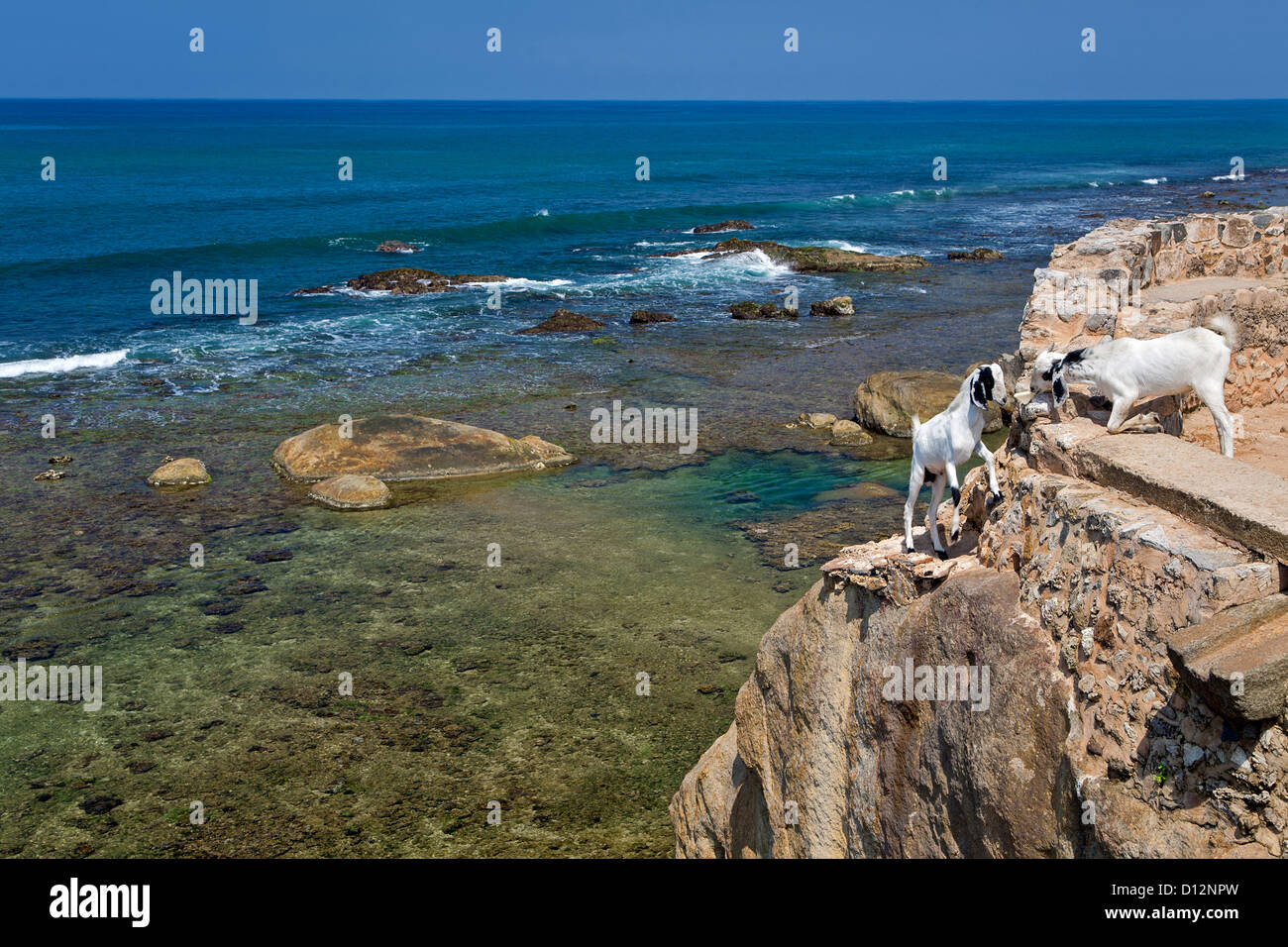 Goat fort hi-res stock photography and images - Alamy