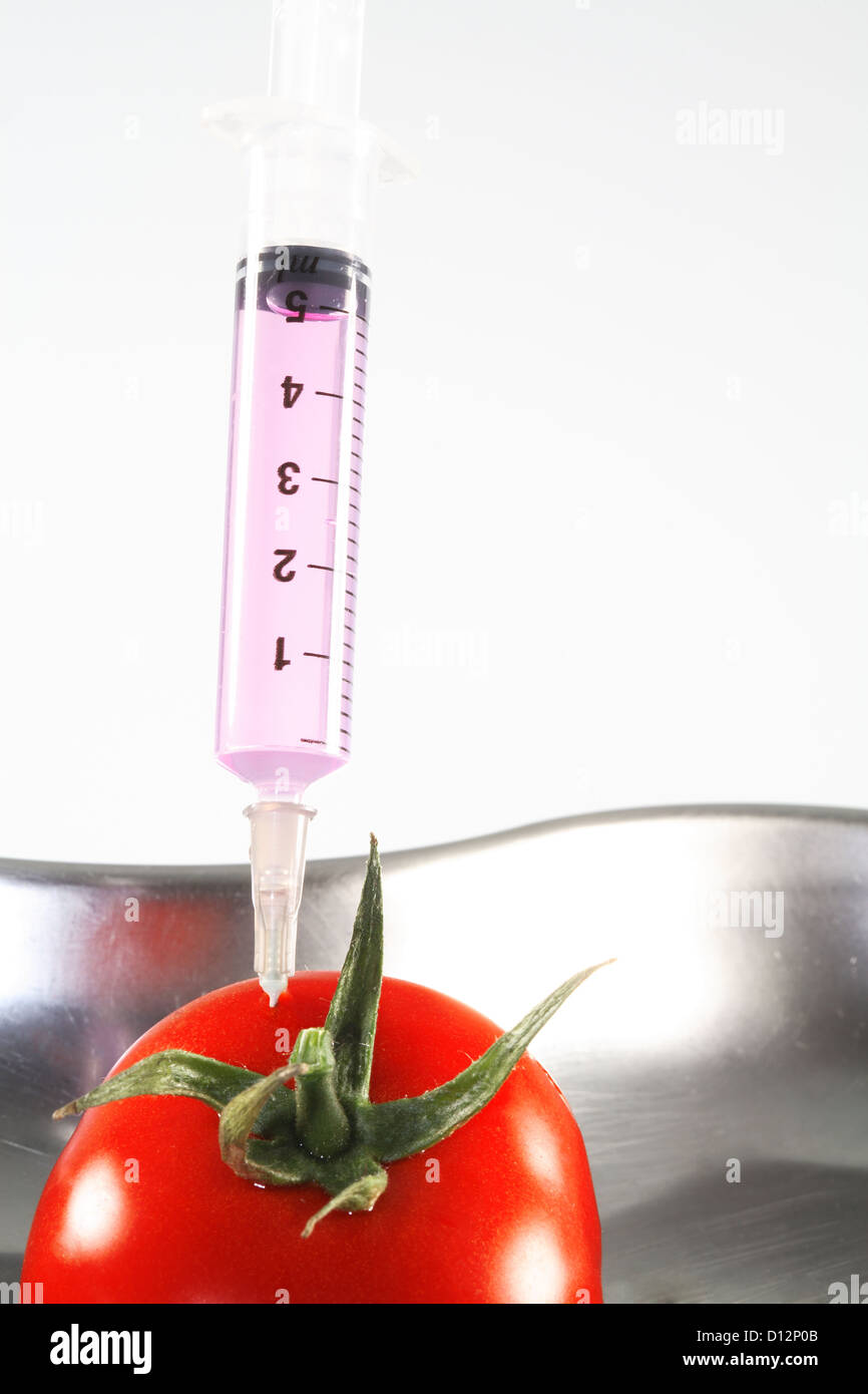 ogm tomato Stock Photo - Alamy