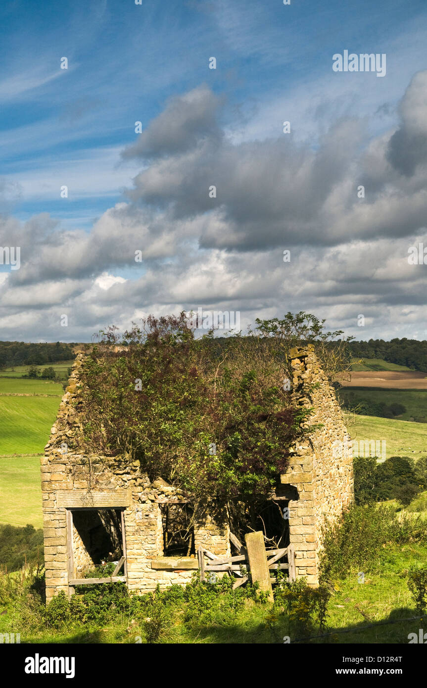 Old rural country barn Stock Photo - Alamy