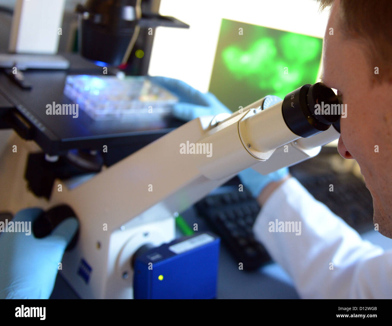 Cancer research lab hi-res stock photography and images - Alamy