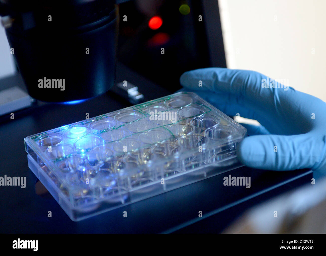 Cancer research lab hi-res stock photography and images - Alamy