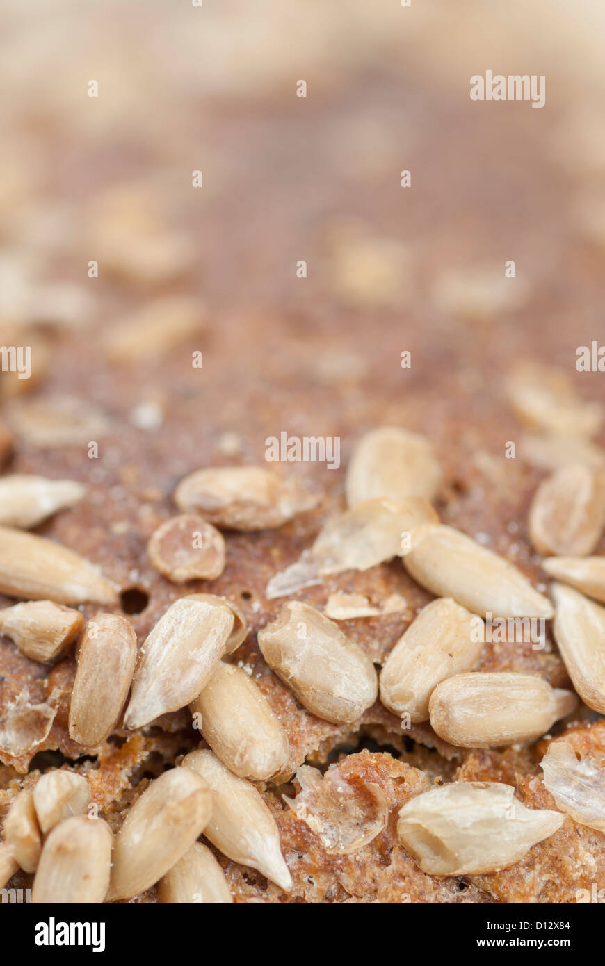Traditional seeded loaf of crusty bread Stock Photo - Alamy