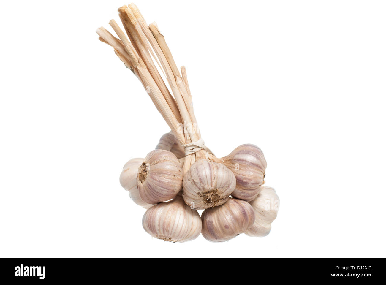 Bunch of tied garlic against white background Stock Photo - Alamy