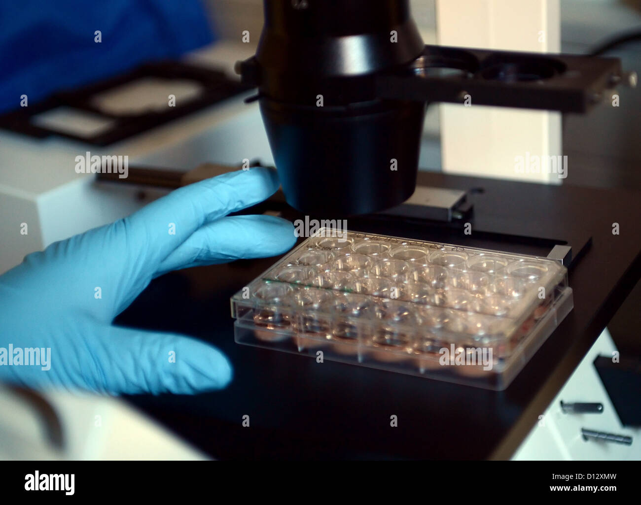 Under the microscope hi-res stock photography and images - Alamy