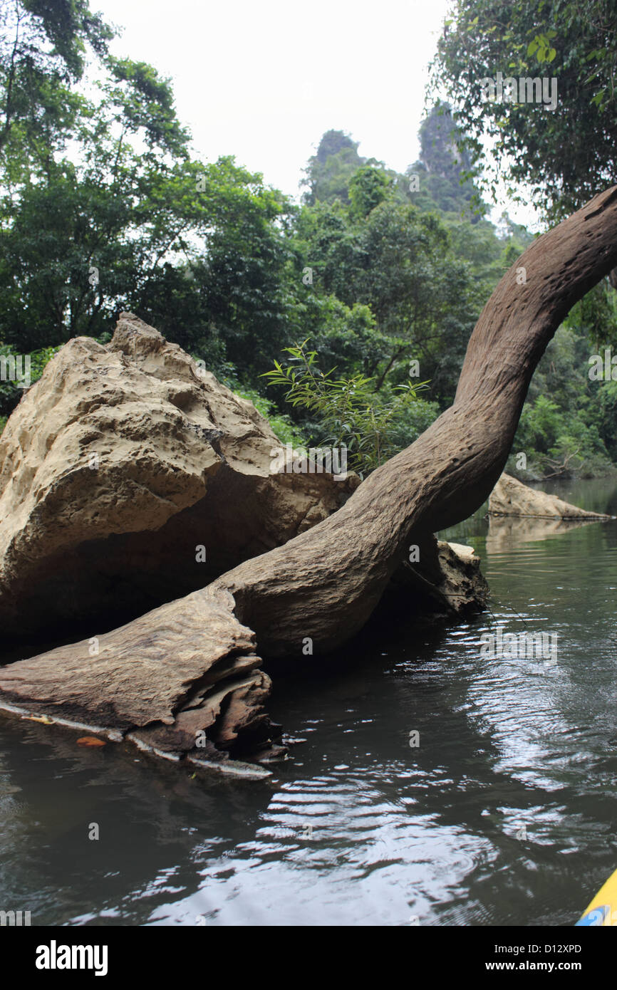 Tree & rock formations Stock Photo - Alamy