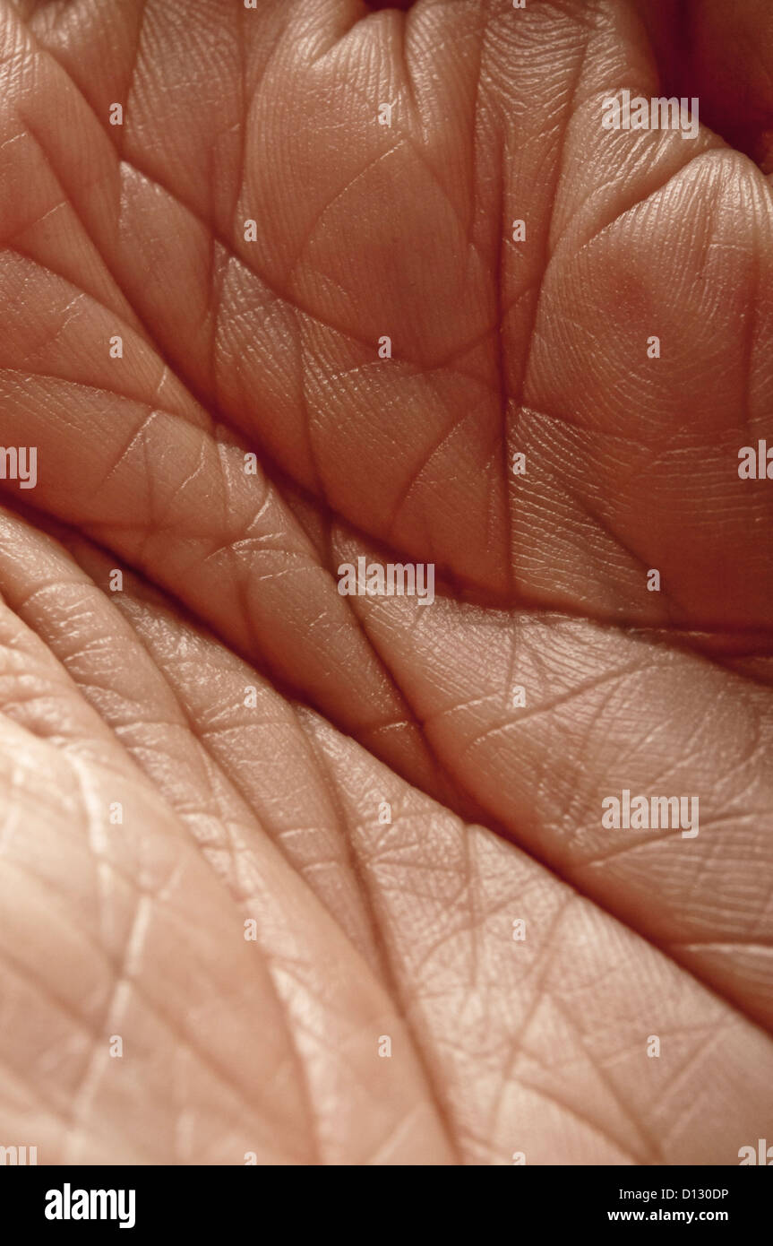 Palmistry hi-res stock photography and images - Alamy
