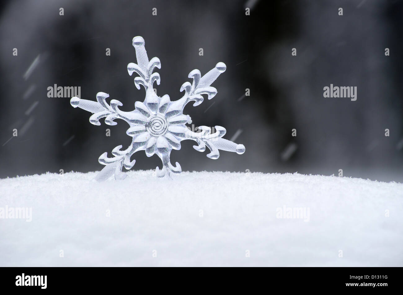 Snowflake in a white snow Stock Photo - Alamy