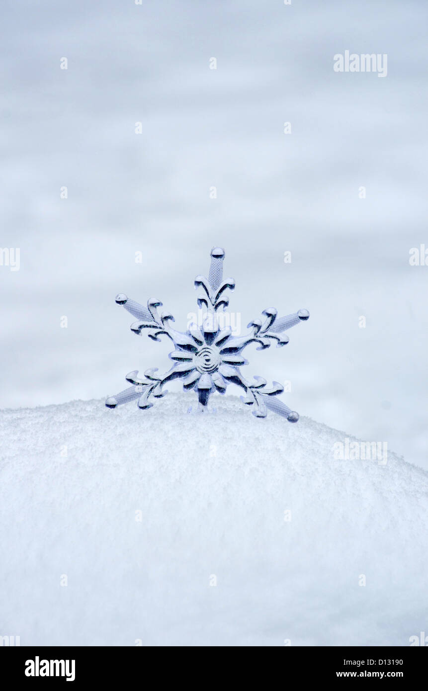Snowflake in a white snow Stock Photo - Alamy