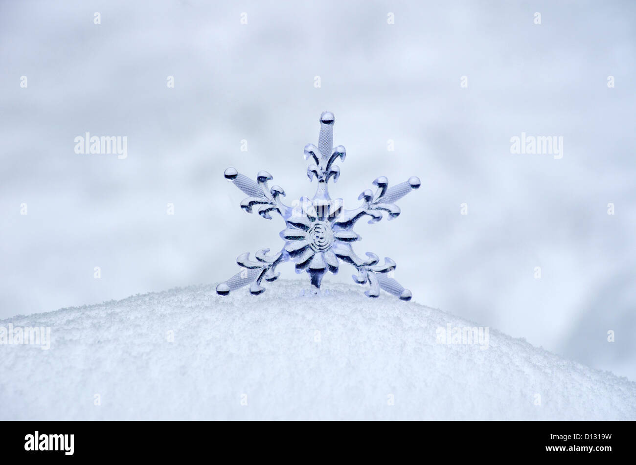 Snowflake in a white snow Stock Photo - Alamy