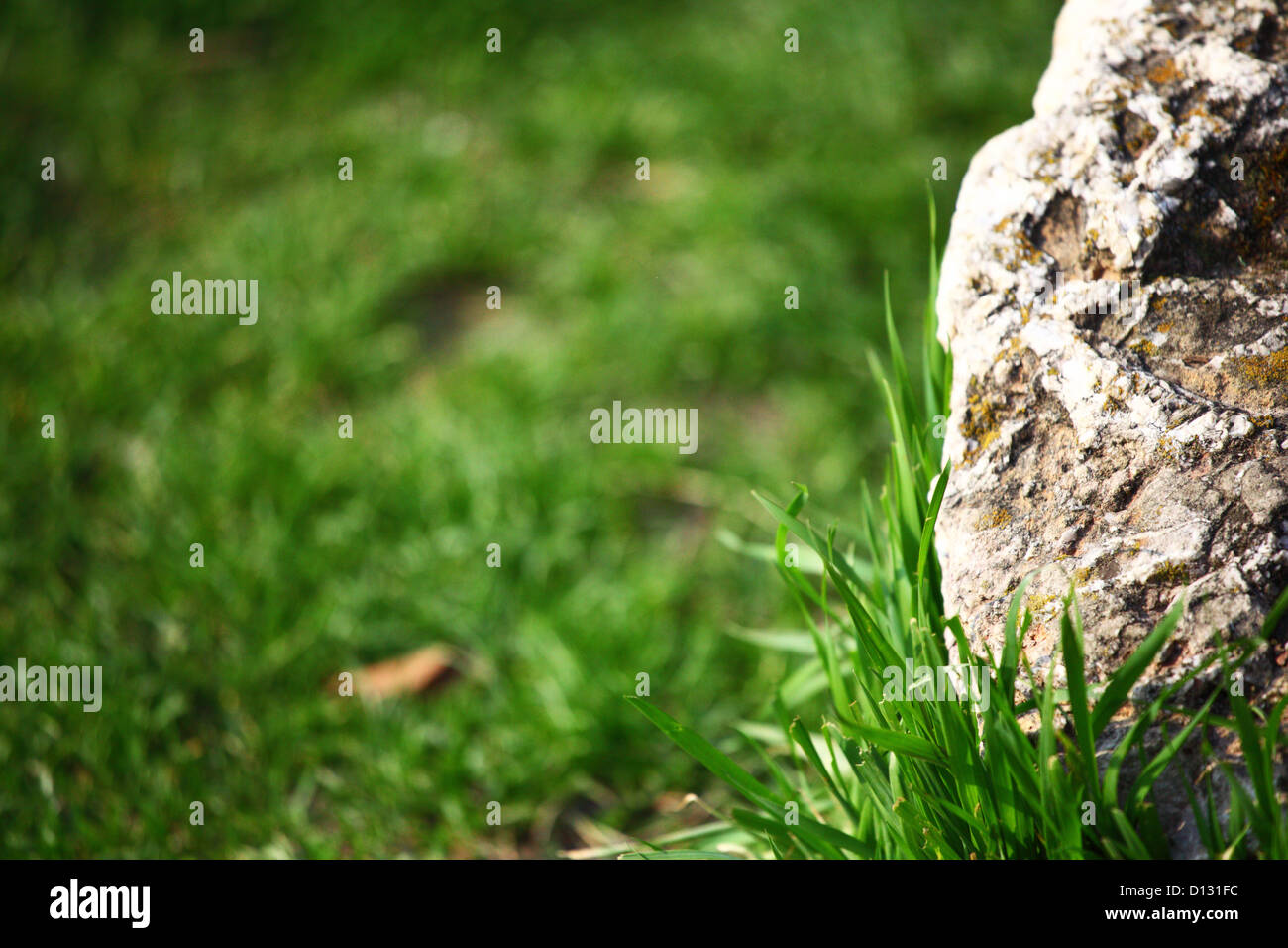 rock on grass Stock Photo - Alamy