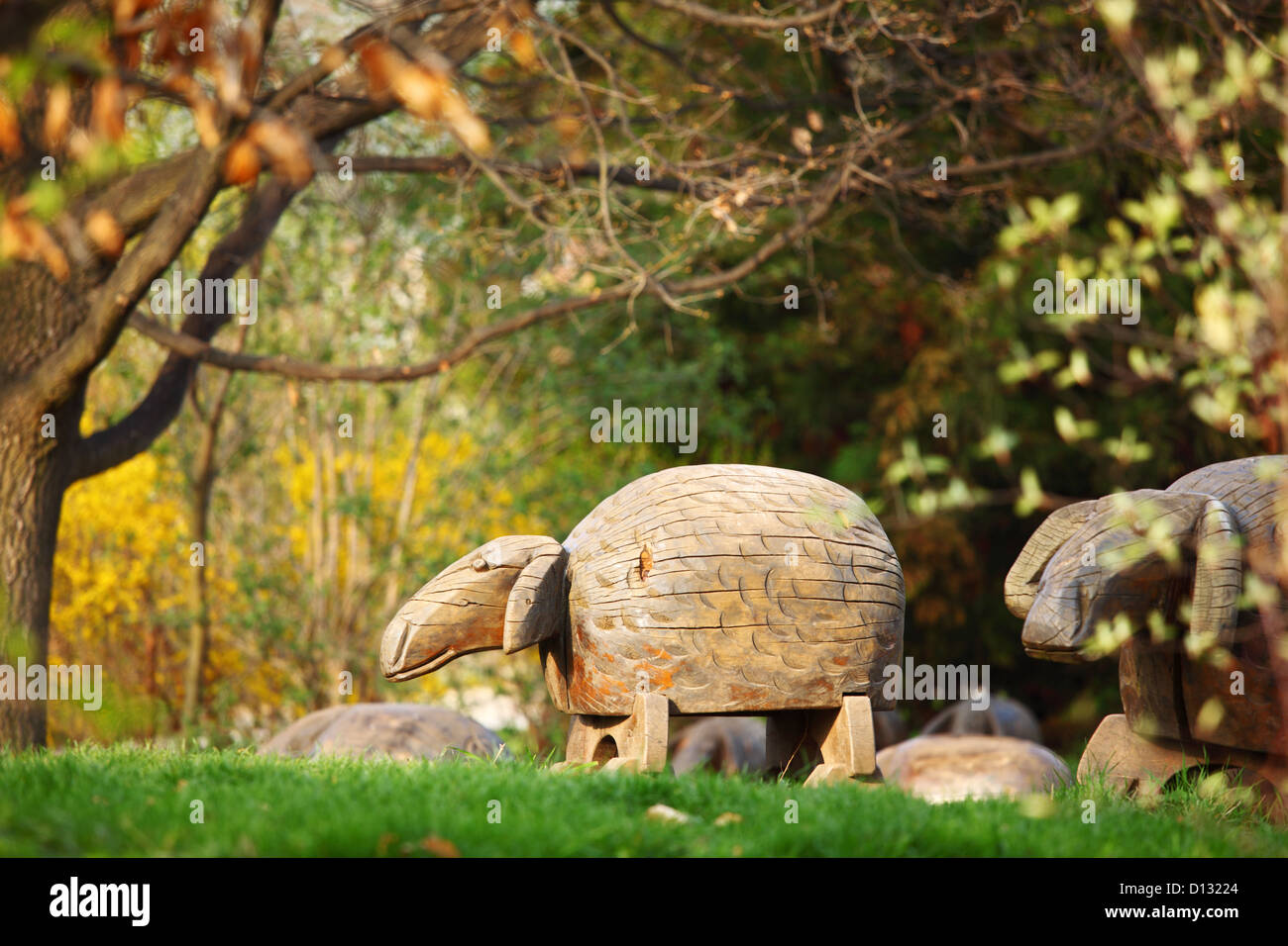 close up sheep in zoo Stock Photo - Alamy