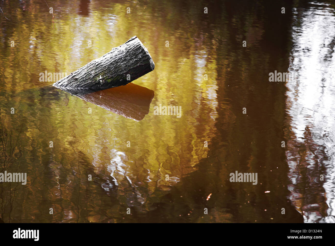 Log in clear water hi-res stock photography and images - Alamy