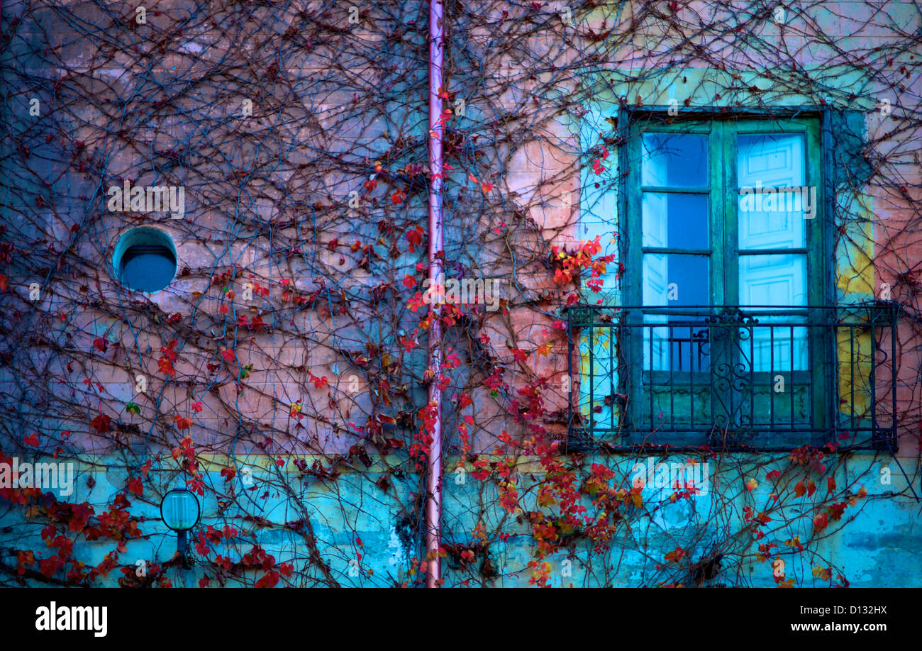 Fall outside my window hi-res stock photography and images - Alamy