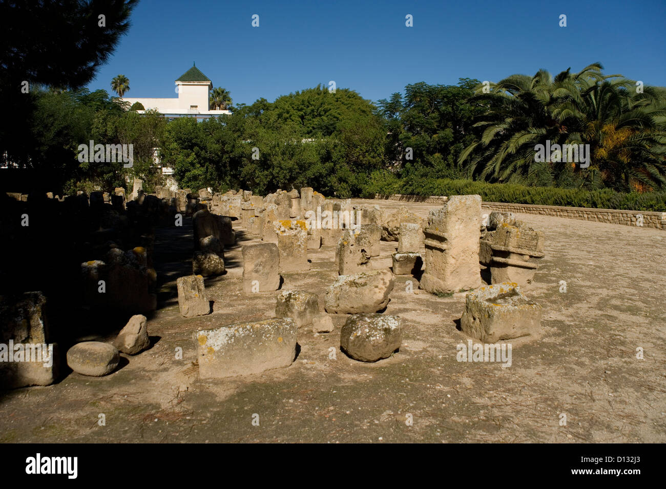The Sanctuary of Tophet in Carthage, a sacrificial and burial site, in ...