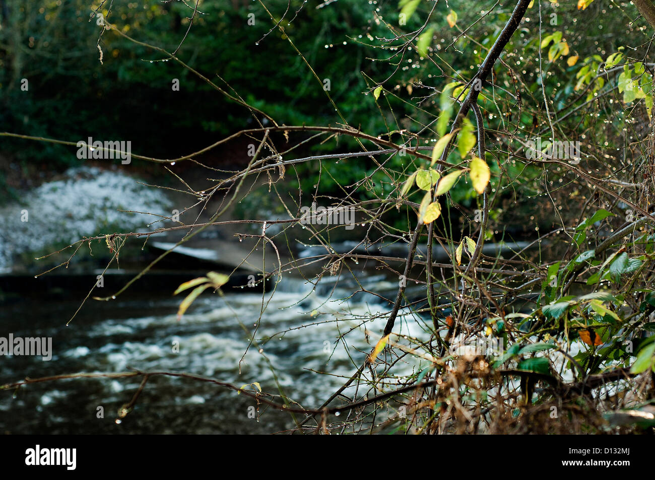 Overhanging hi-res stock photography and images - Alamy