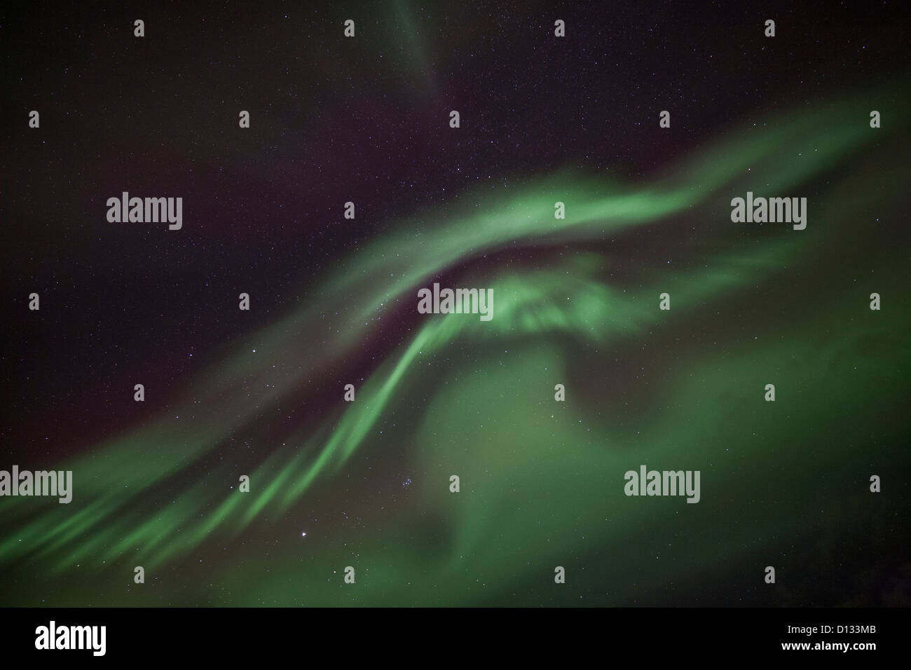Aurora Borealis Northern Lights in the night sky over Iceland Stock ...