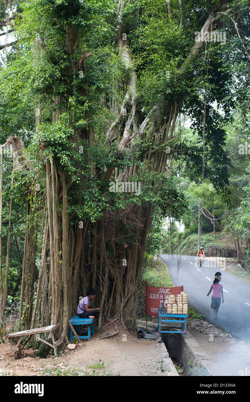 Nice woman figure hi-res stock photography and images - Alamy