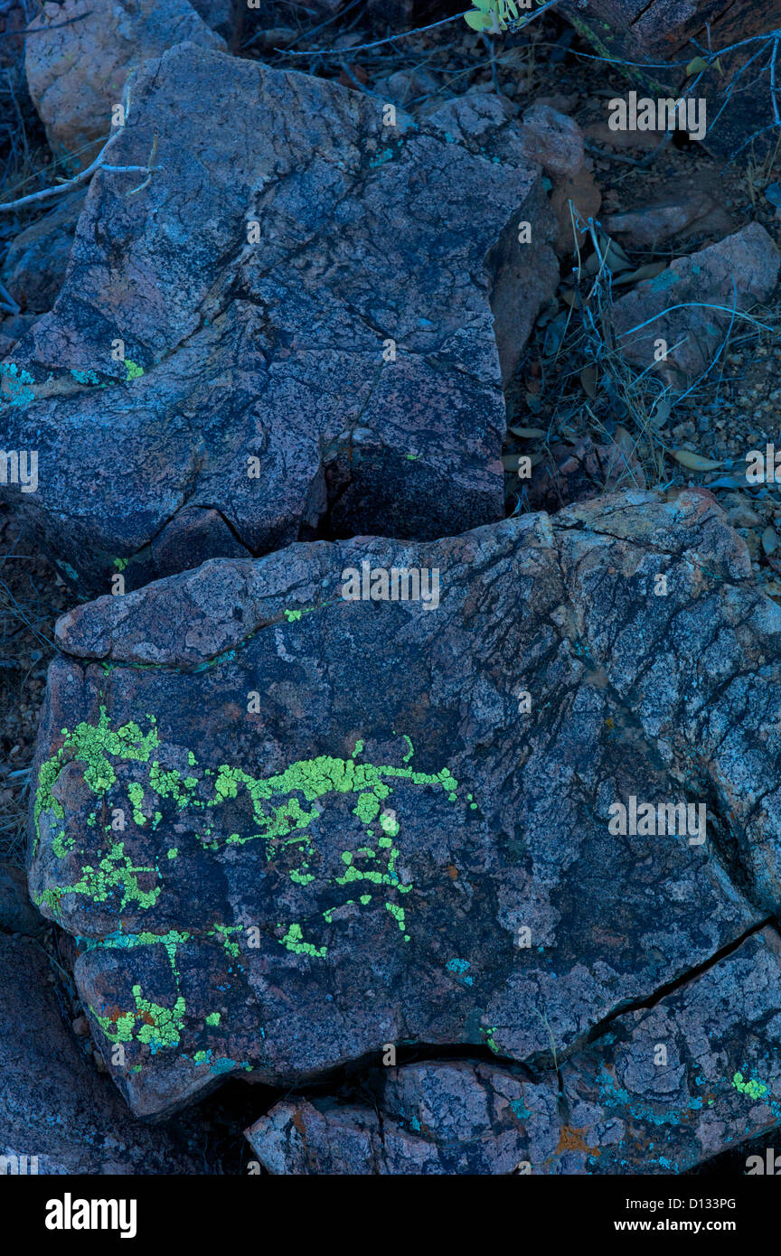 Plants growing on rocks hi-res stock photography and images - Alamy