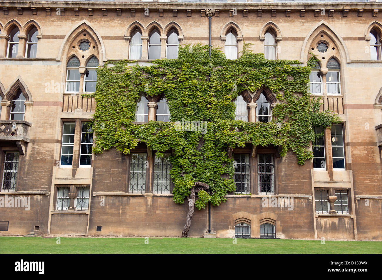 A Building With A Tree Growing Right Against The Wall With The Leaves ...