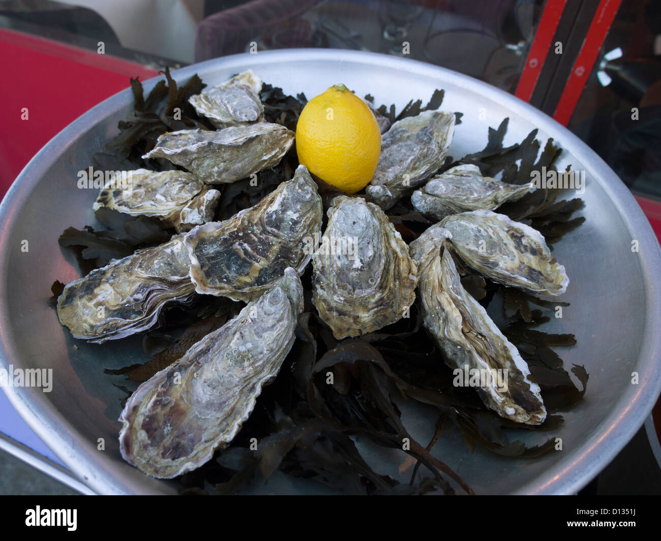 Fresh oysters on a tray with seaweed and a lemon Stock Photo - Alamy