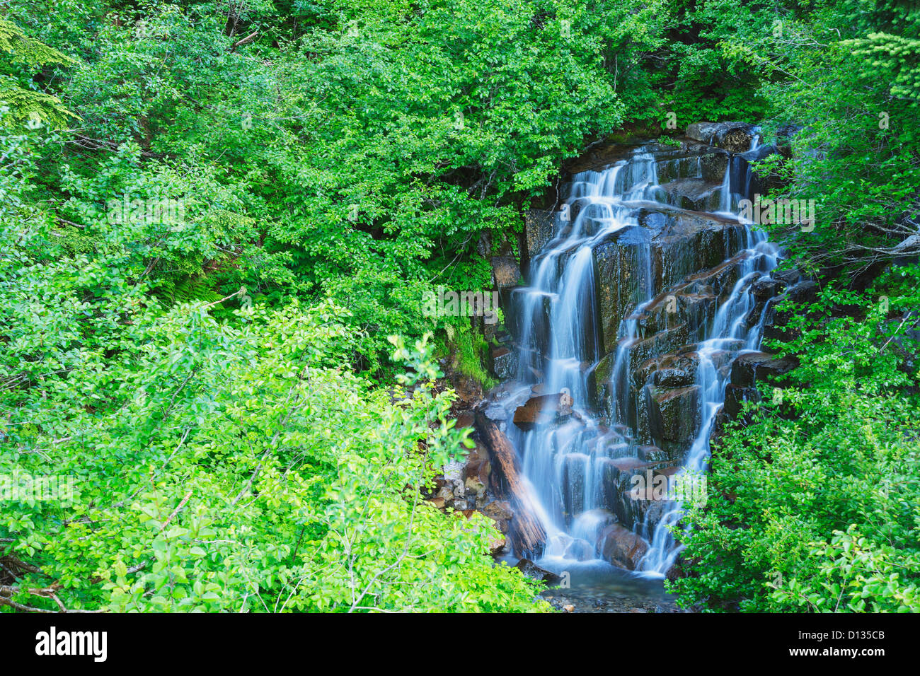 Stevens Creek Waterfall Mount Rainer National Park Near Seattle ...