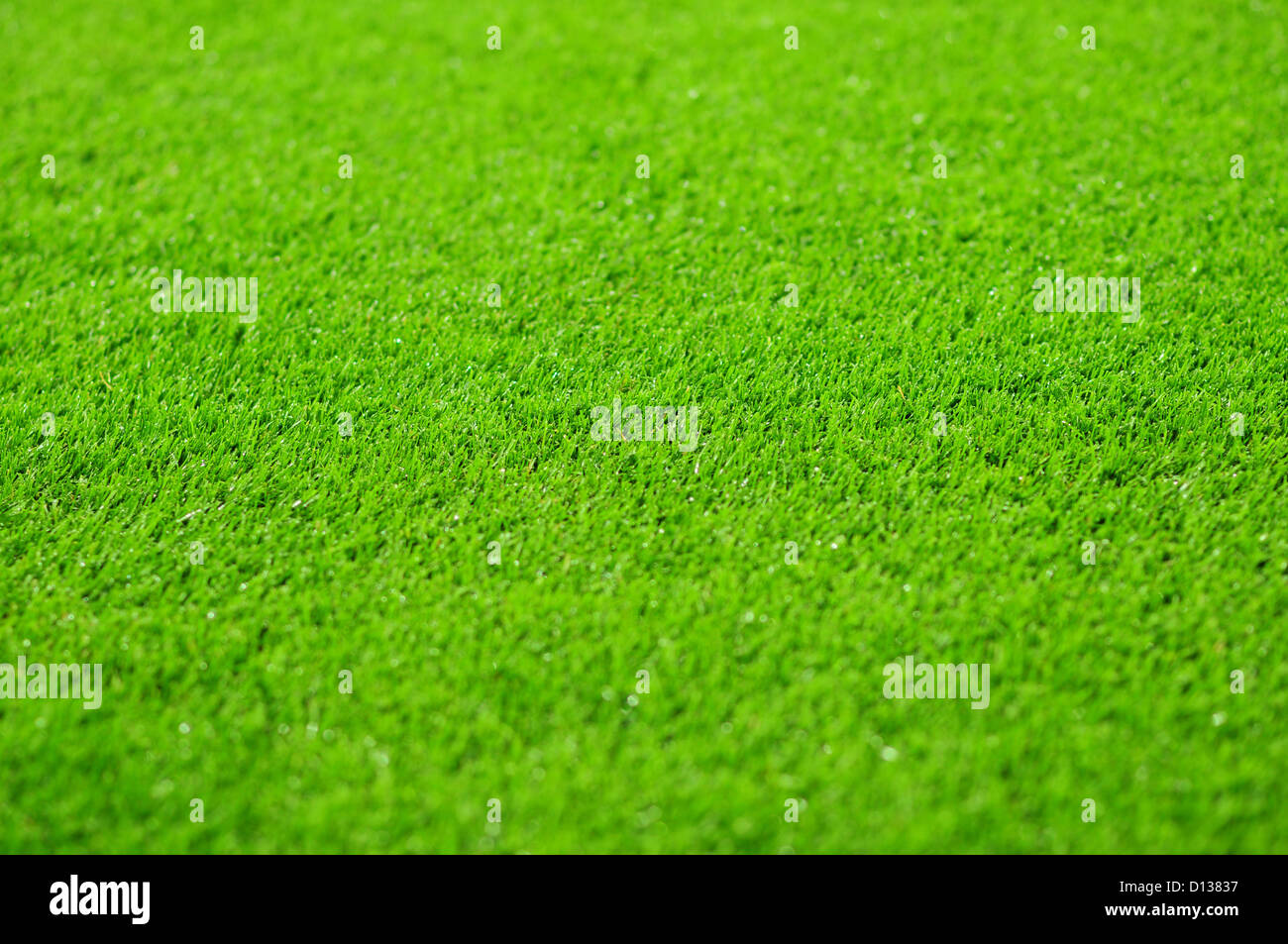 Grass background of the soccer (football) stadium pitch Stock Photo - Alamy