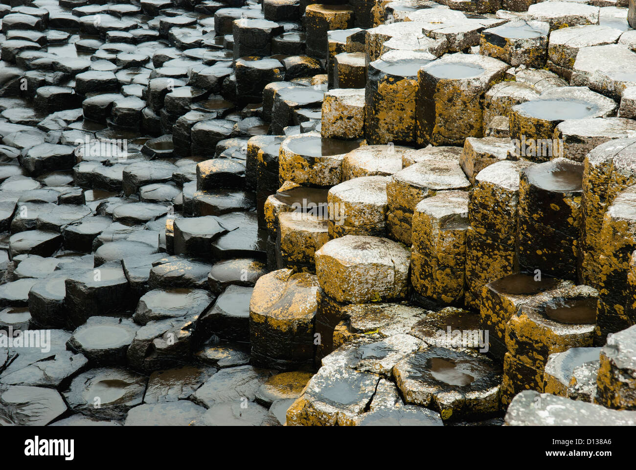 Wet Stone Steps At Various Levels Covered In Lichen; Ireland Stock ...