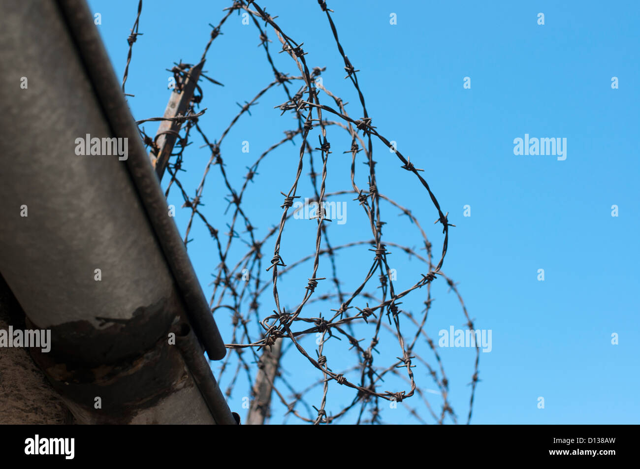 Barber wire hi-res stock photography and images - Alamy