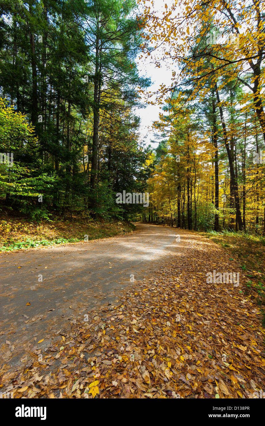 Back roads in Vermont during foliage season Stock Photo - Alamy