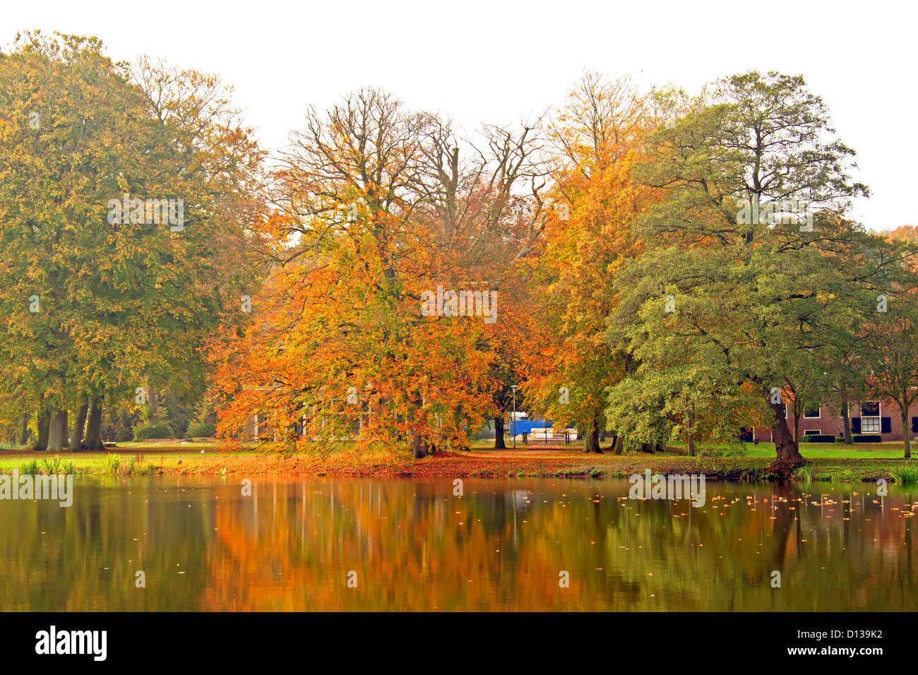 Fall in the Netherlands Stock Photo - Alamy