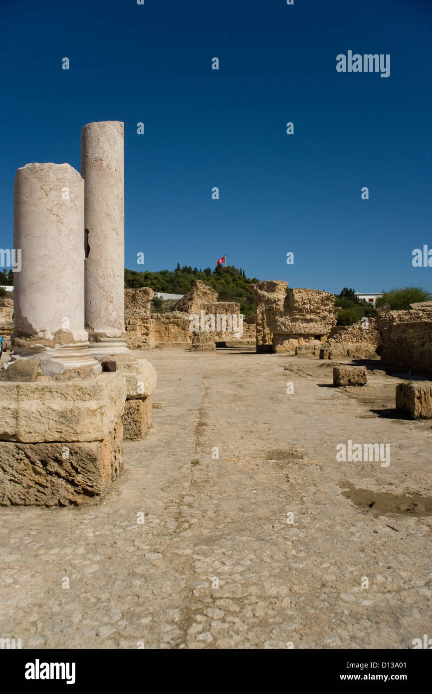 The Antonine Baths in Carthage Tunis, Tunisia Stock Photo - Alamy