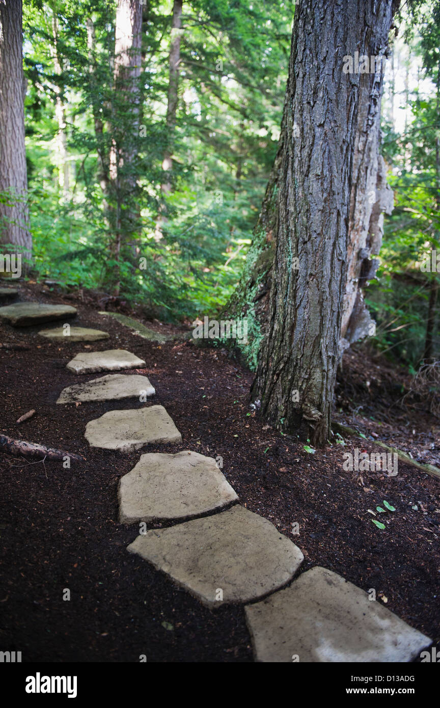 Stepping stone hi-res stock photography and images - Alamy