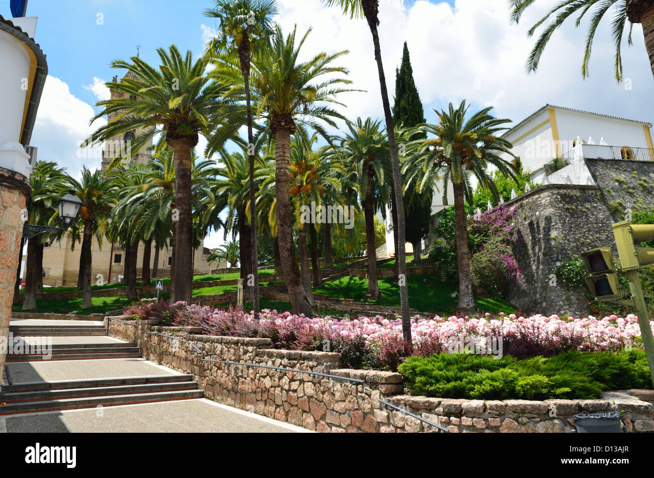 Spanish palm hi-res stock photography and images - Alamy
