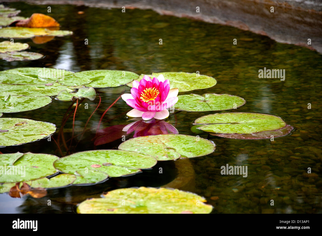 Sera waves hi-res stock photography and images - Alamy
