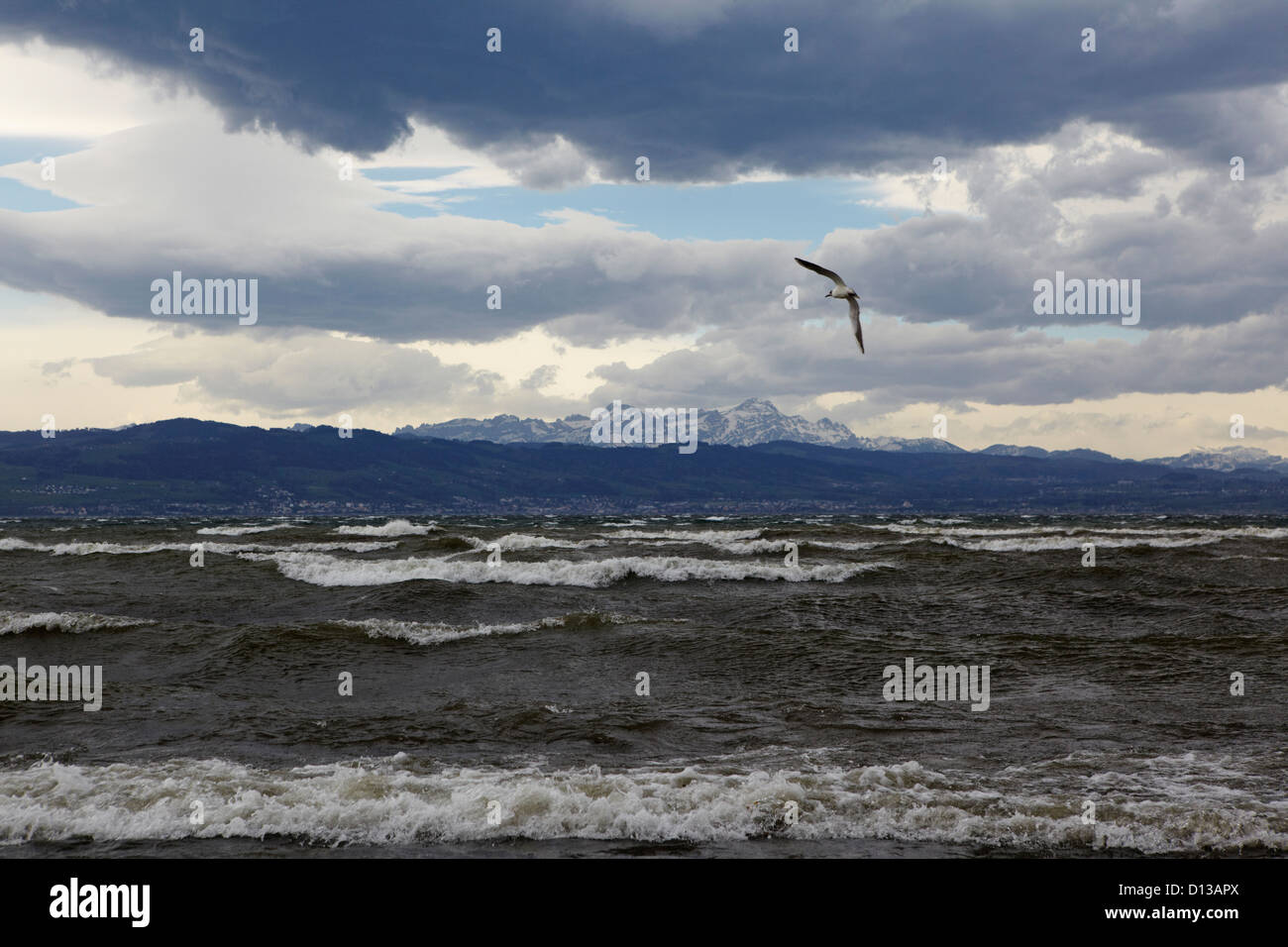 Storm in germany hi-res stock photography and images - Alamy