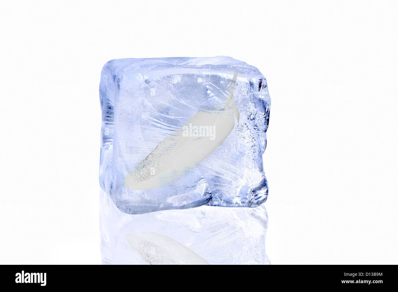 Close up of white feather frozen in ice cube on white background Stock ...