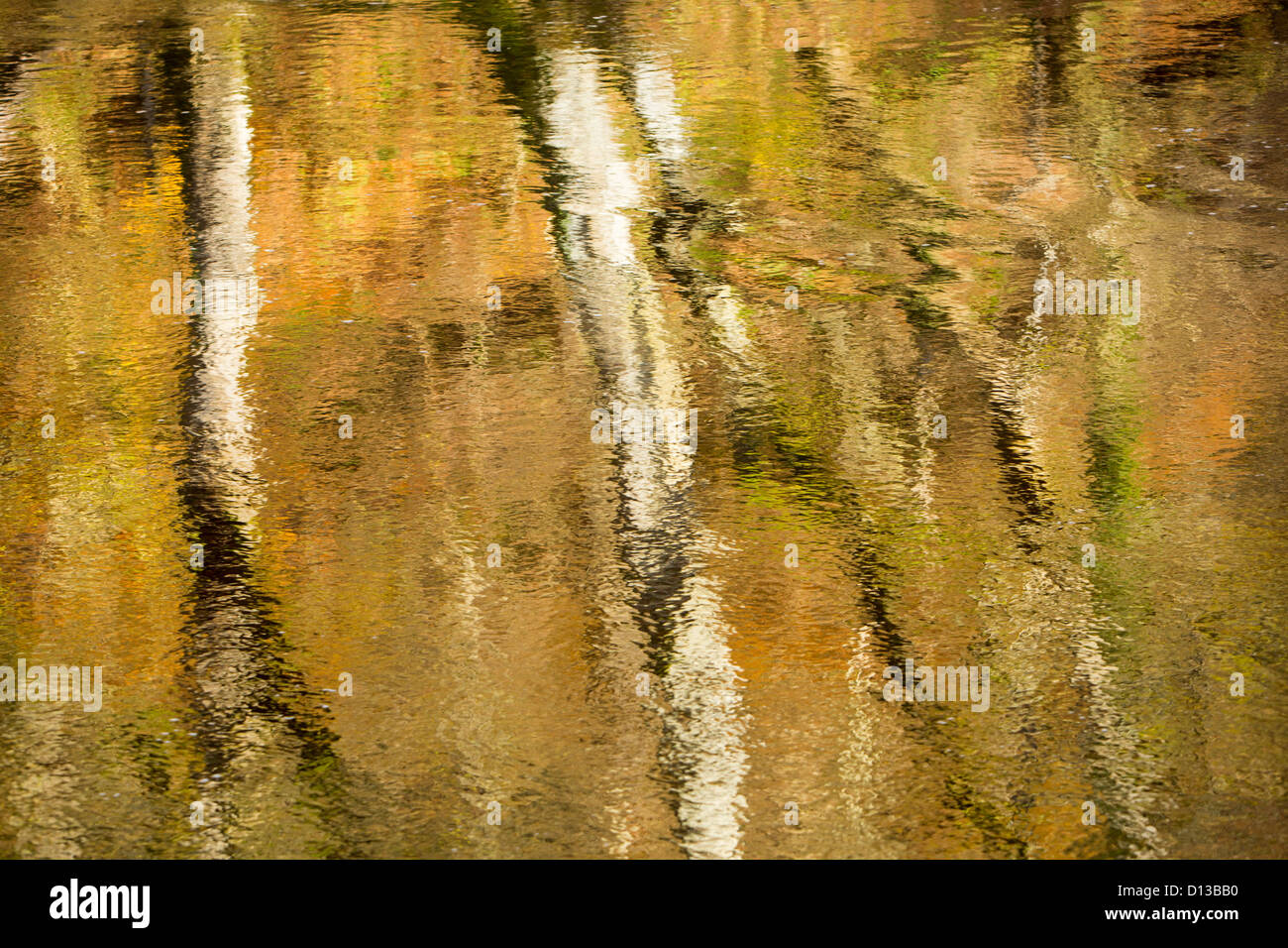 Tree reflections in the River Wharfe in Wharfedale, Yorkshire, UK Stock ...