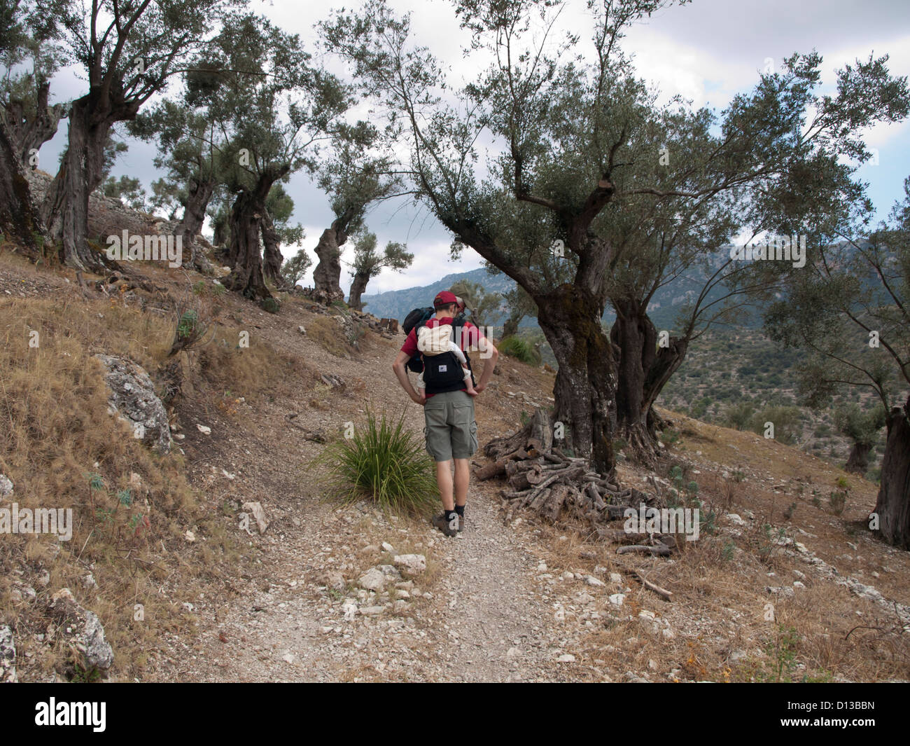 Castillo de Alaro, a historic fortress on a mountain 822 m is a great ...