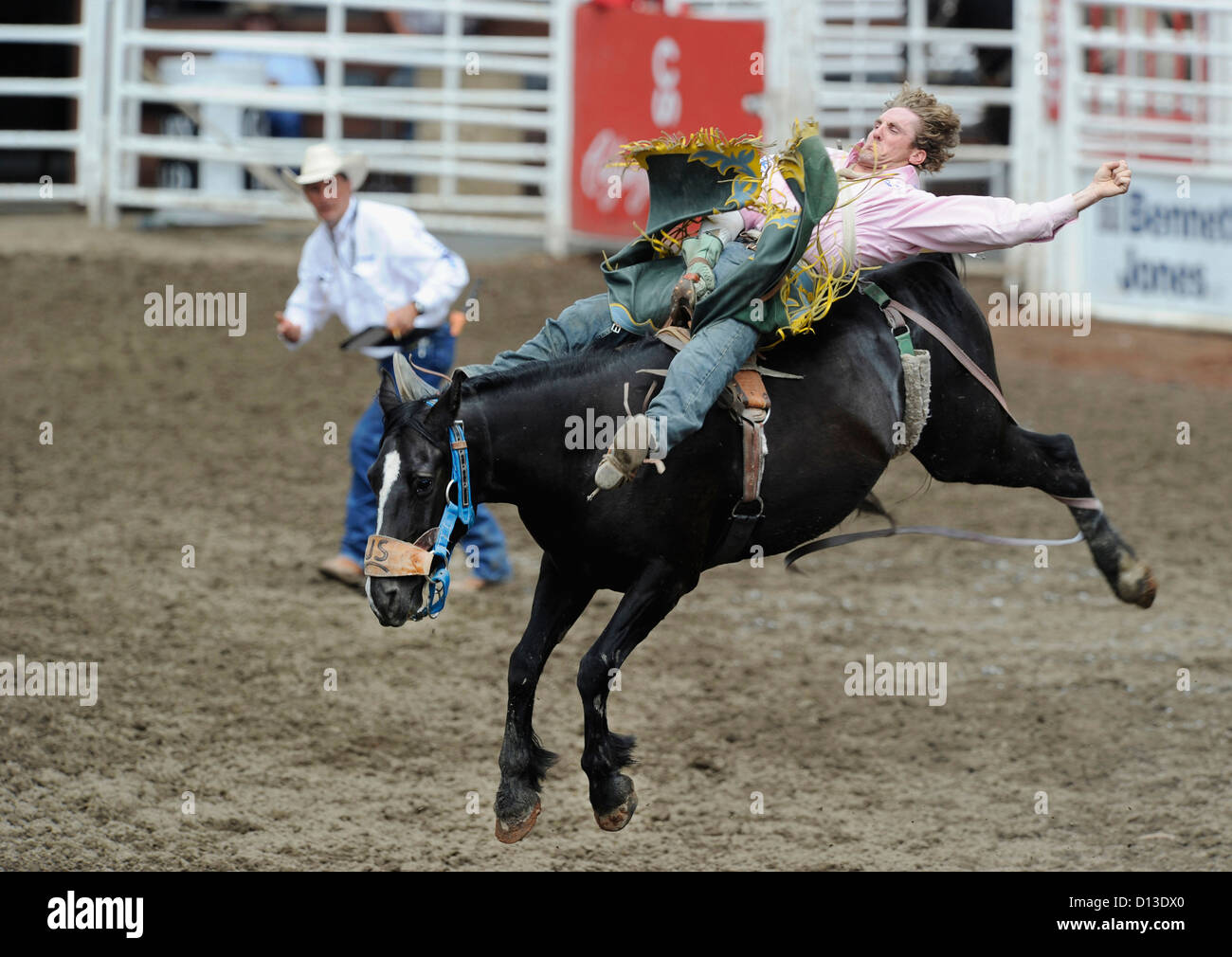 Bronco riding hi-res stock photography and images - Alamy