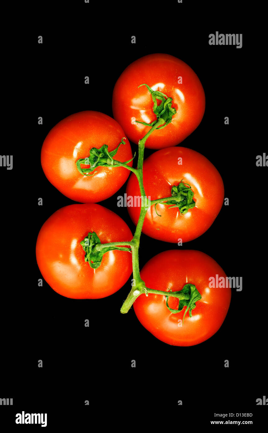 bunch of five tomato on black background Stock Photo - Alamy