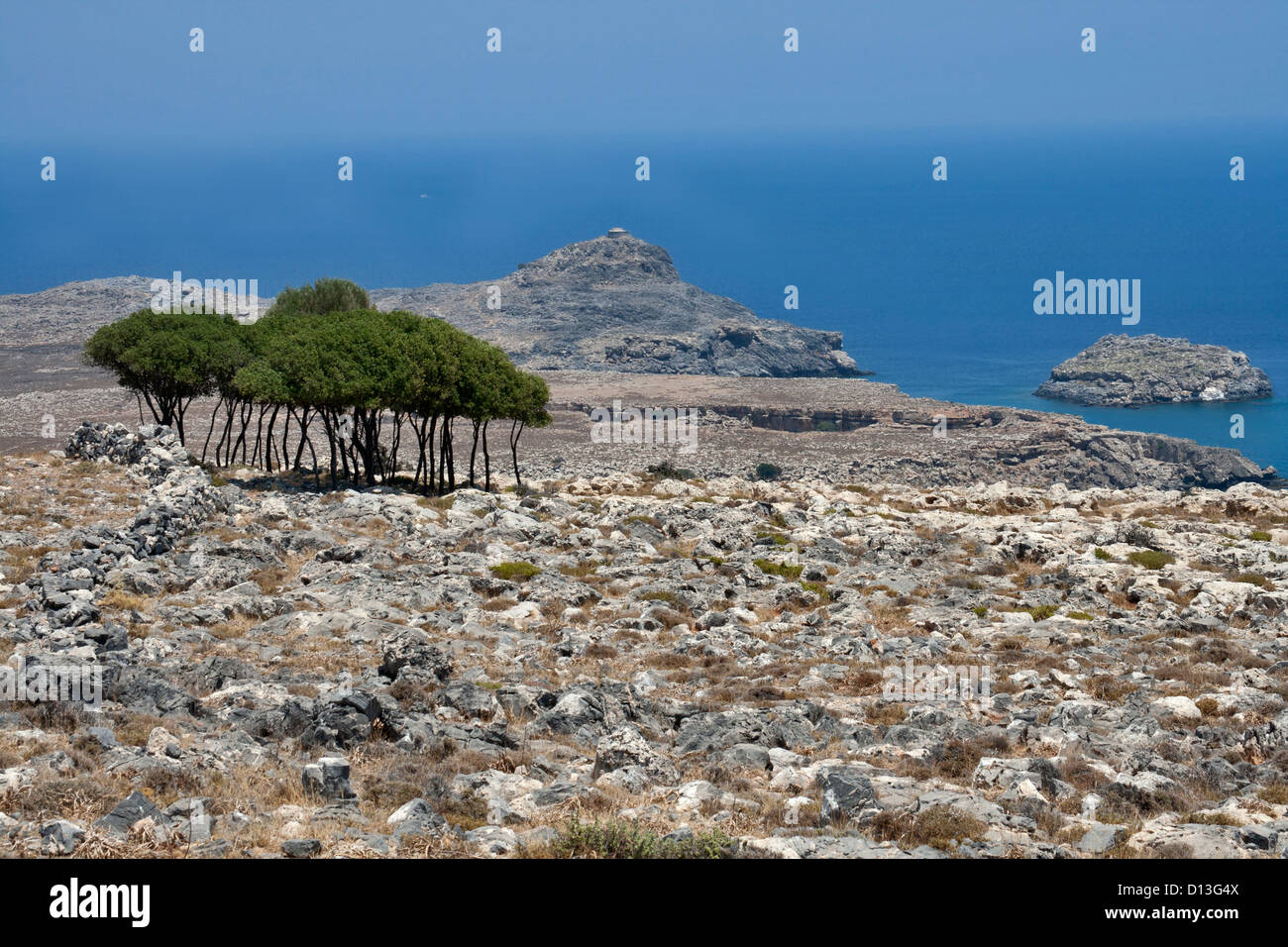 Small wood with background of ancient watchtower. Lindos, Rhodes ...
