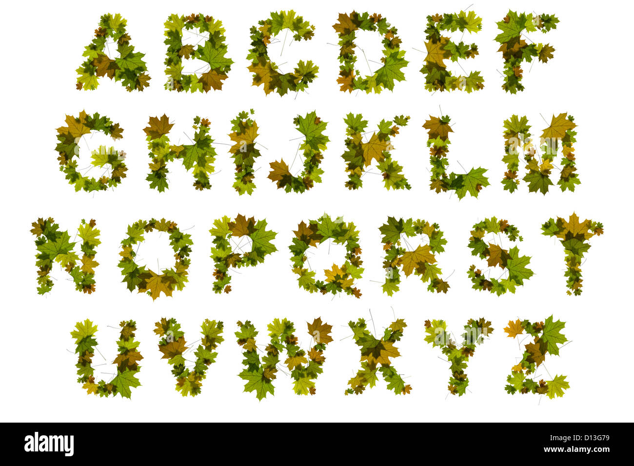 Green tree leaves over Cut Out Stock Images & Pictures - Alamy