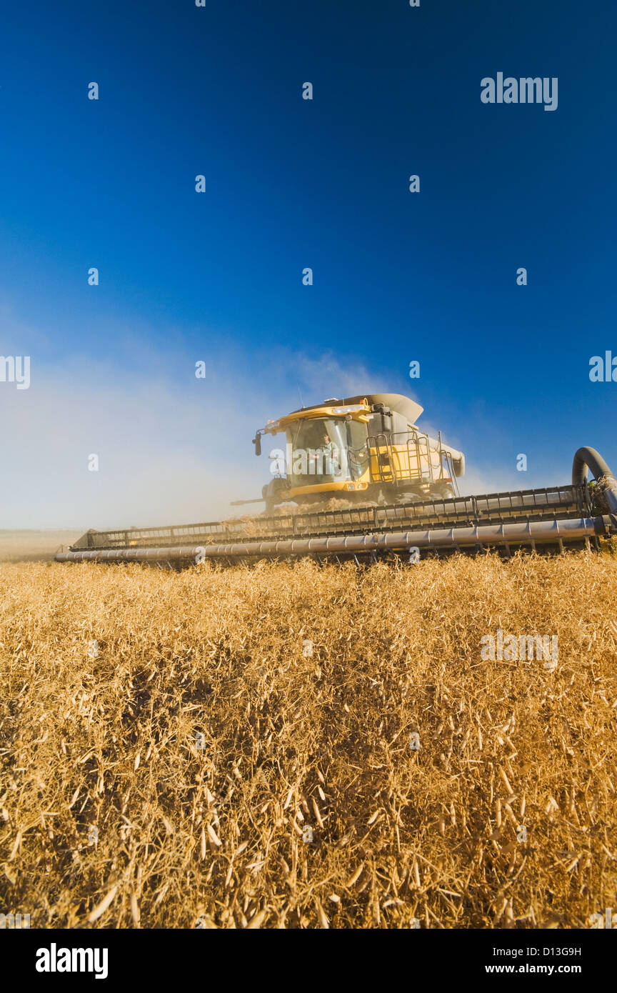 Somerset saskatchewan hi-res stock photography and images - Alamy